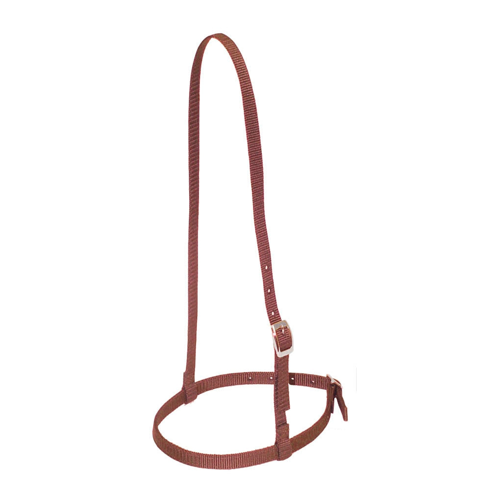 Bozal Muztang Mod 8310 – Resistol & Stetson Hats Mexico