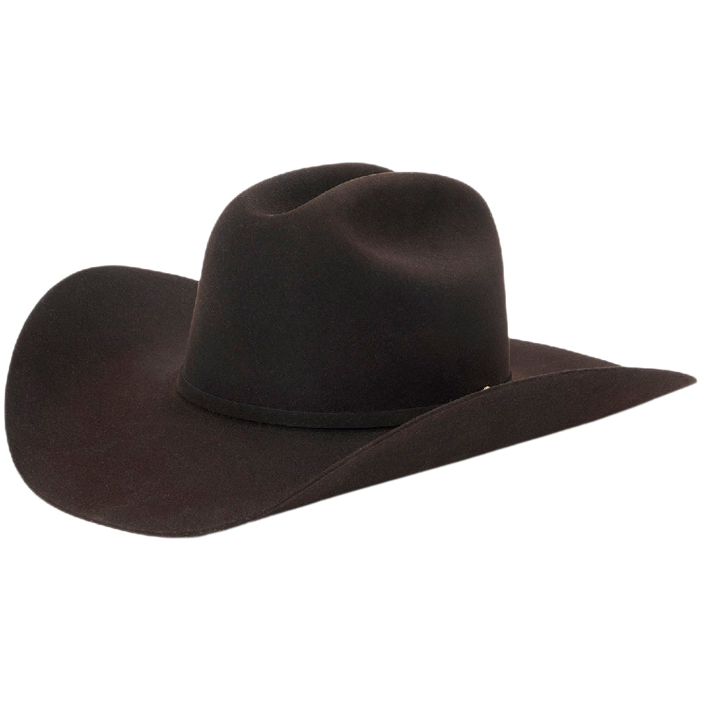 Stetson The Golden Eagle 100X Chocolate 160Th Edition – Resistol ...